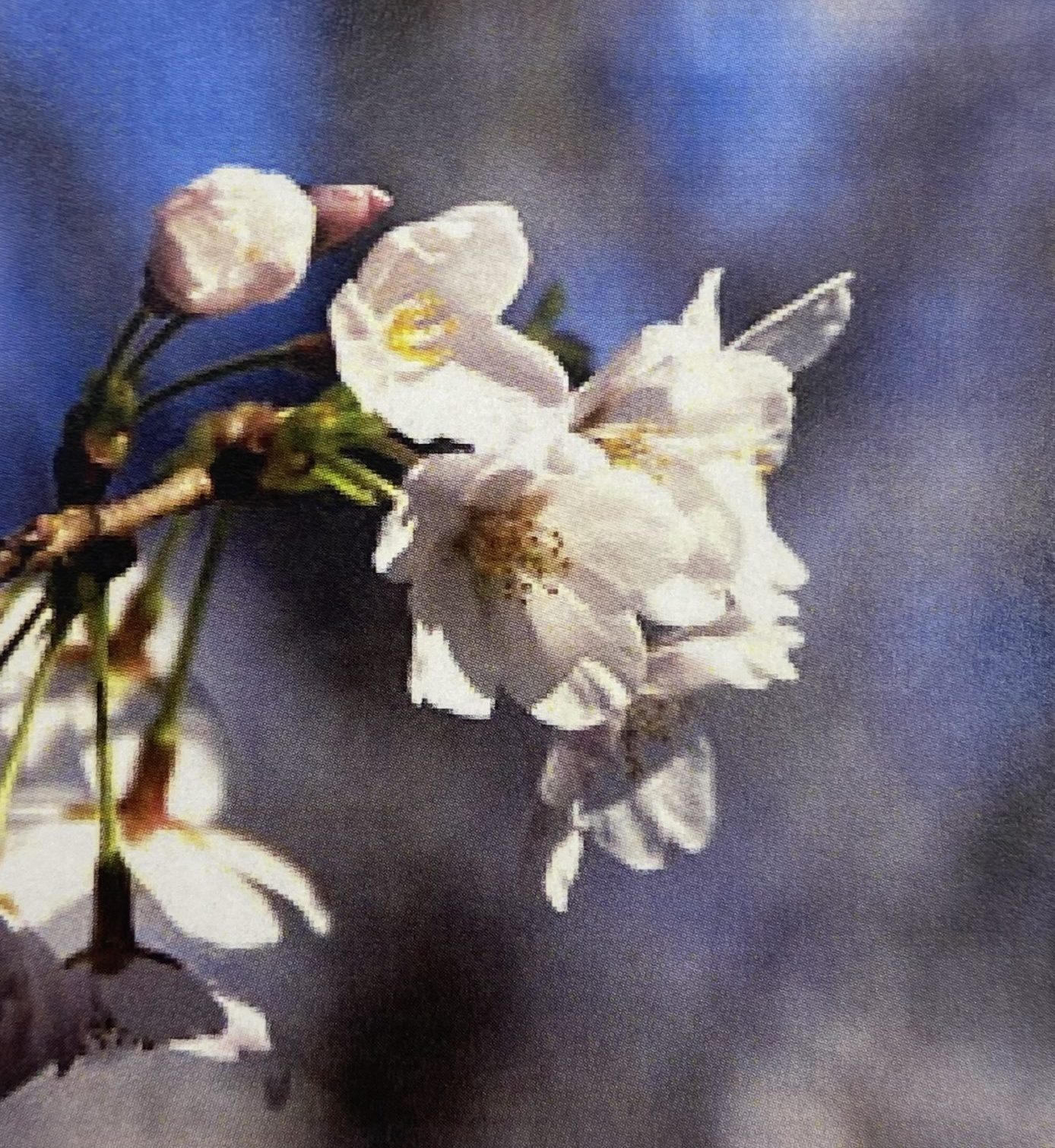 GW特訓って必要？ | 個別指導 ena個別 のご案内 - 【公式】進学塾のena